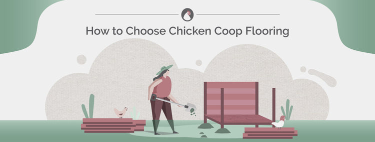 Backyard Chickens Learning Center | FREE Guides & How-To's – Mile Four