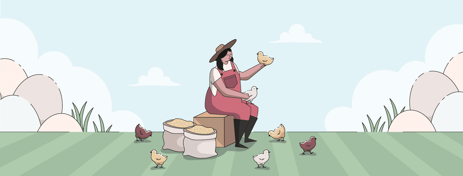 Best Chicken Hatchery | How to Buy Baby Chicks by Price, Breed & More ...