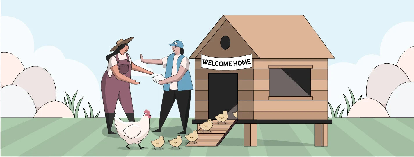 Chicken Ownership Laws in the U.S. | Find Your City/State – Mile Four