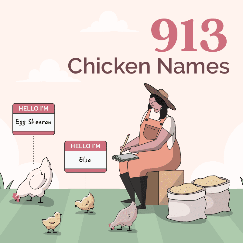 62 Best Backyard Chicken Blogs & Websites to Follow – Mile Four