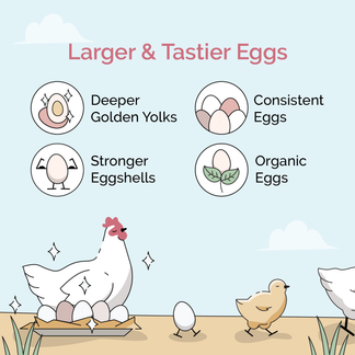 Starter & Chick Chicken Kit | 2 Month Supply of Feed & Grit | Non-GMO ...
