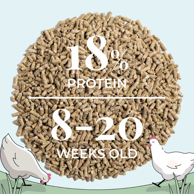 Organic Chicken Feed For Backyard Chickens | Subscribe & Save 5% – Mile ...