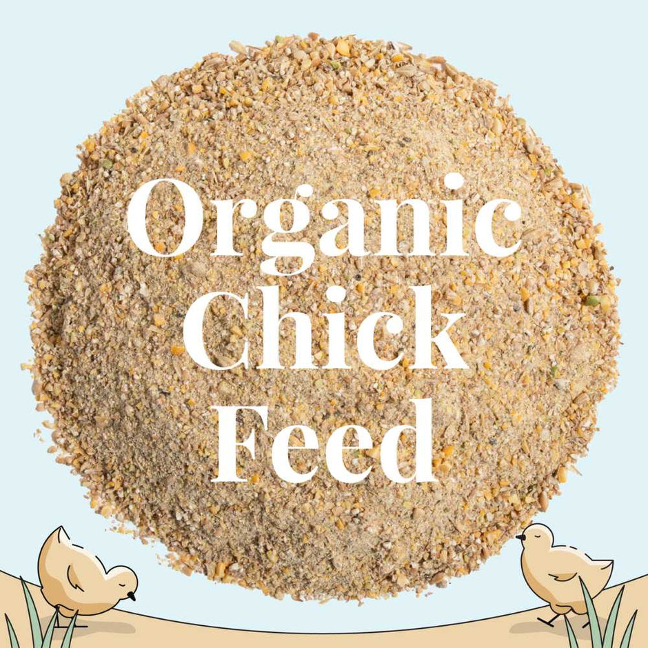 Organic Chicken Feed For Backyard Chickens | Subscribe & Save 5% – Mile ...