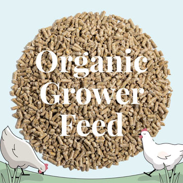 Organic Chicken Feed For Backyard Chickens | Subscribe & Save 5% – Mile ...
