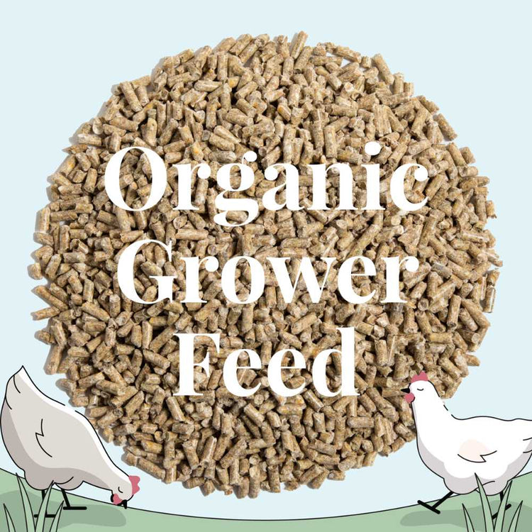 Organic Chicken Feed For Backyard Chickens | Subscribe & Save 5% – Mile ...