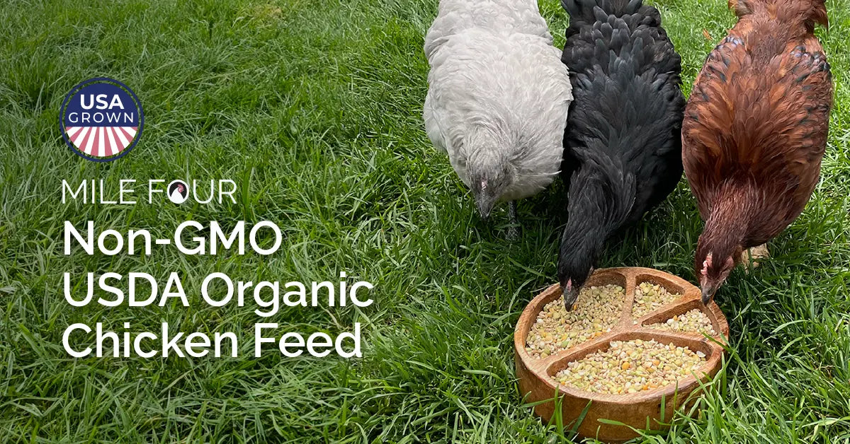 Organic Chicken Feed For Backyard Chickens | Subscribe & Save 5% – Mile ...