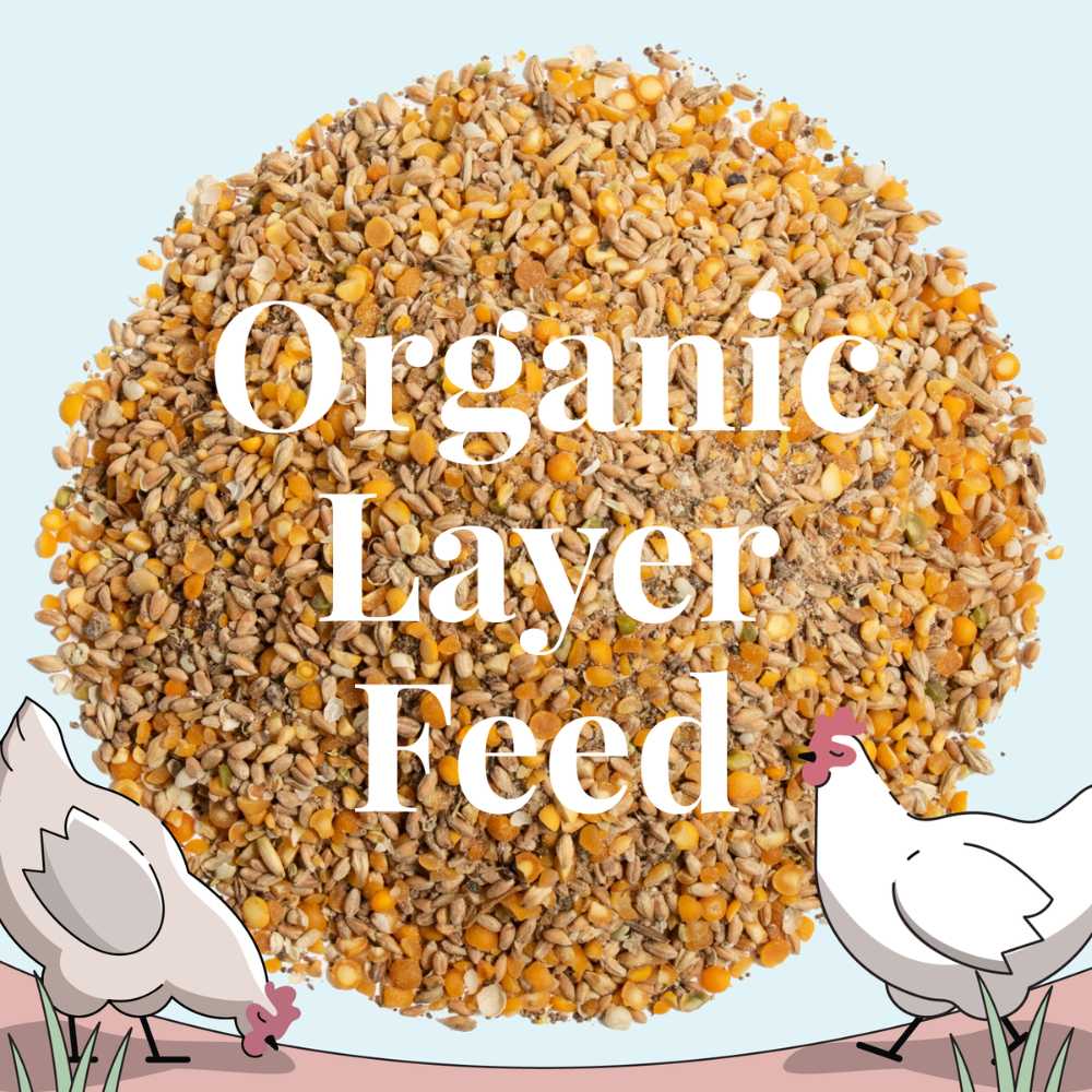 Organic Chicken Feed Brands